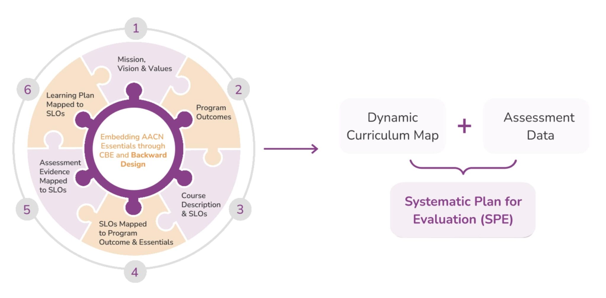 Transforming Nursing Curriculum Design with Backward and Competency Mapping